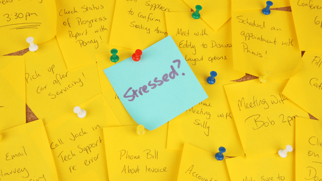 The Stress Container Model - Wellbeing in Your Office